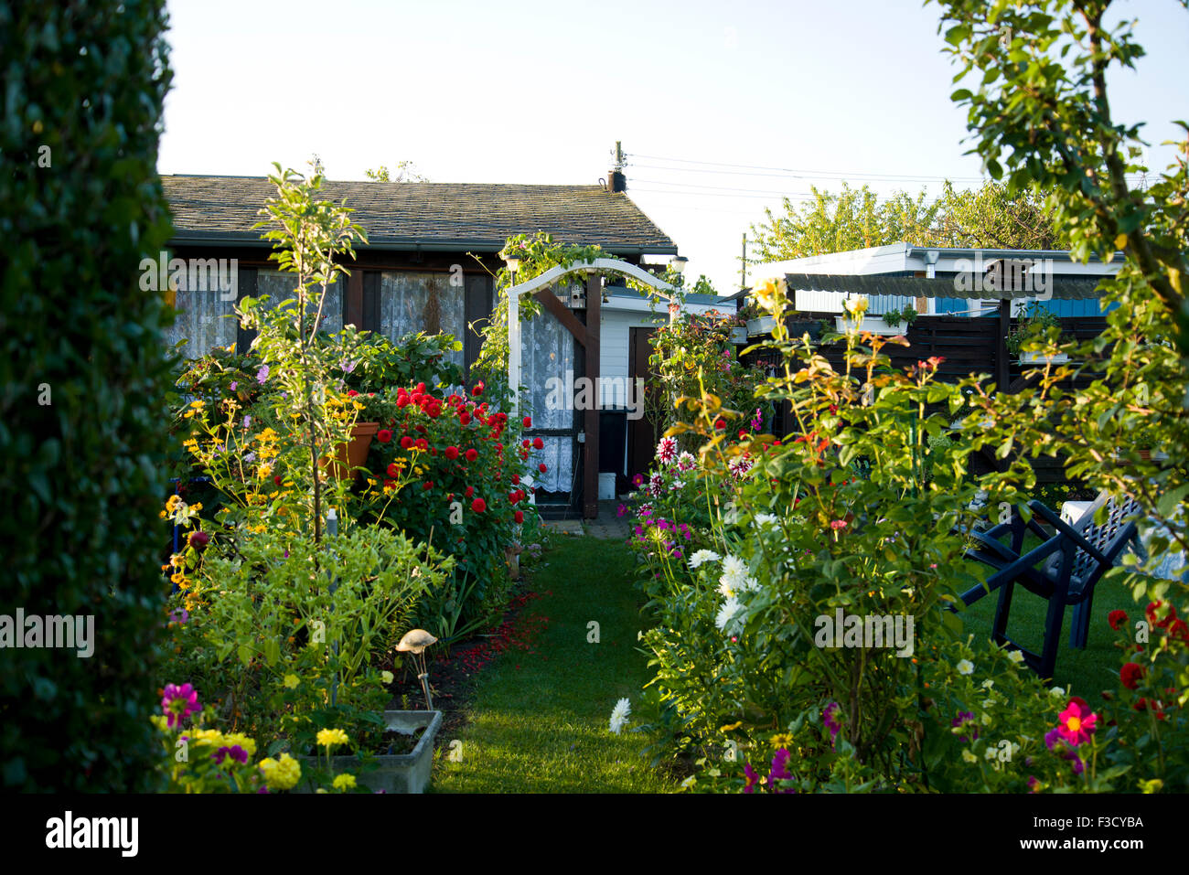 German Allotments or Community gardens Stock Photo - Alamy