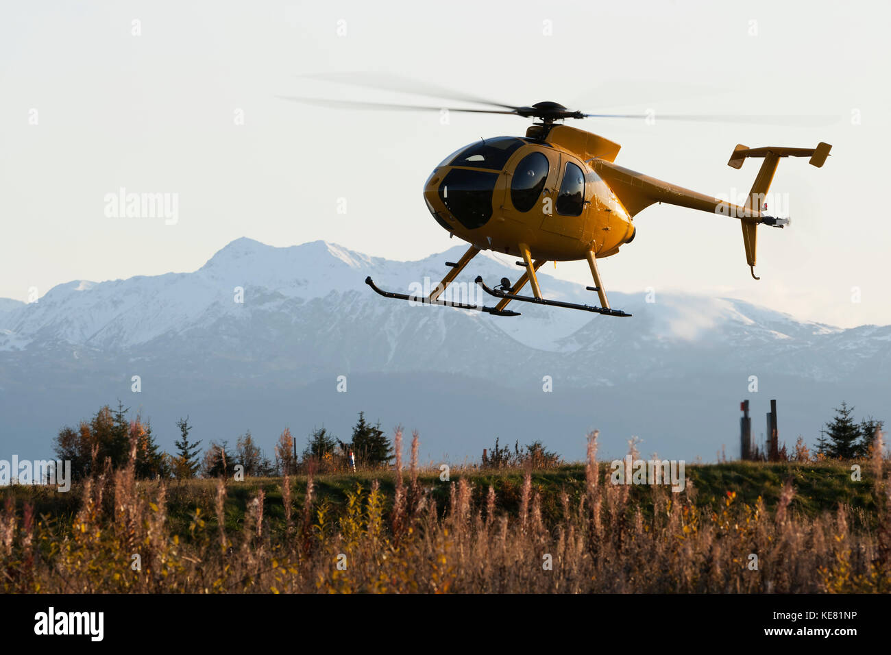 Hughes 500 Helicopter Landing At Homer, Southcentral Alaska, USA Stock ...